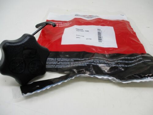 Genuine Briggs & Stratton 596250 Fuel Tank Cap Fits Gas Tank 596251 ...